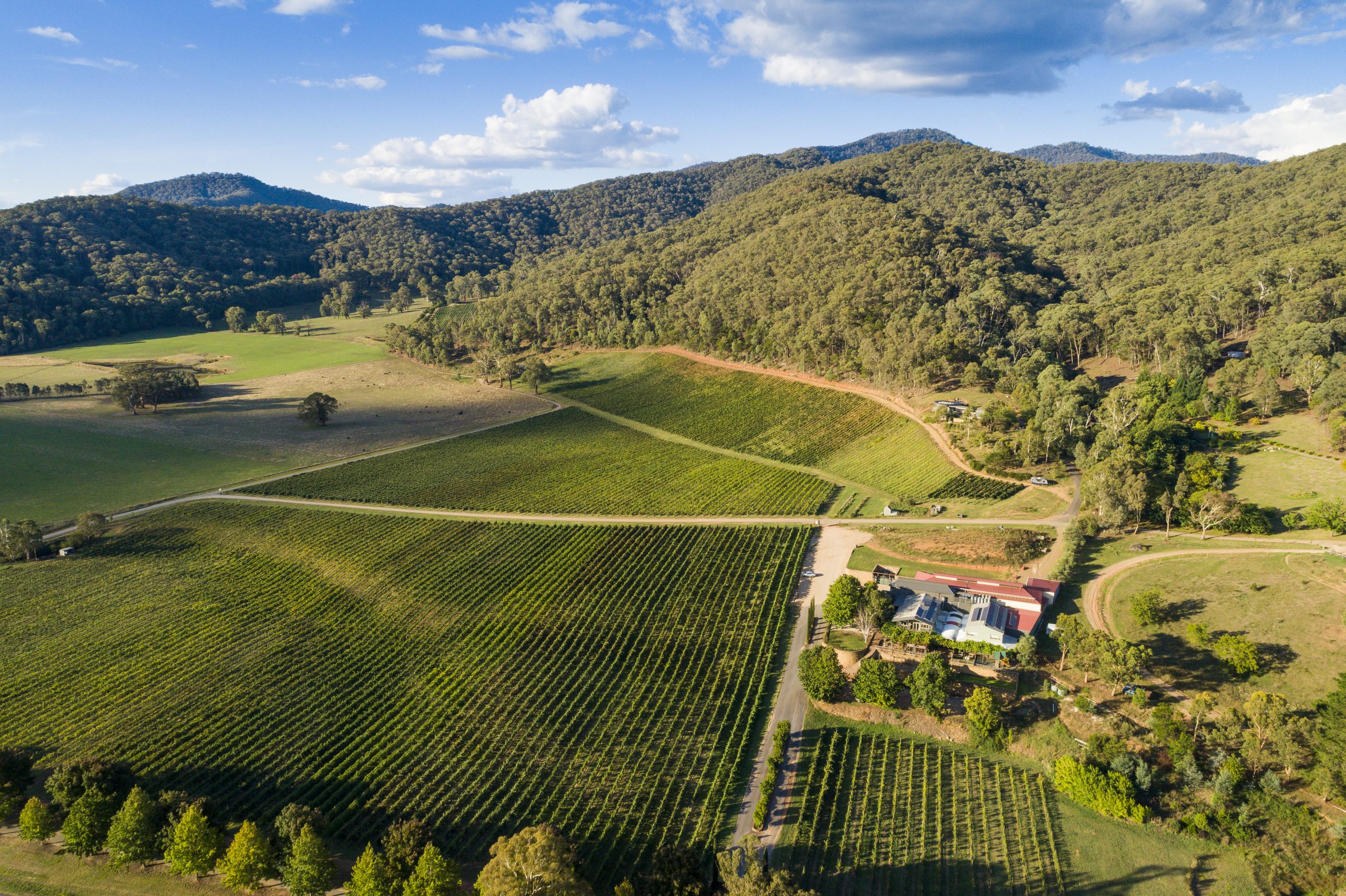 Our Story - Feathertop Winery