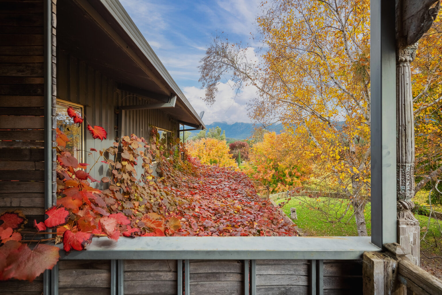 Our Story - Feathertop Winery